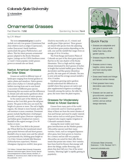 Ornamental Grasses - Colorado State University Extension