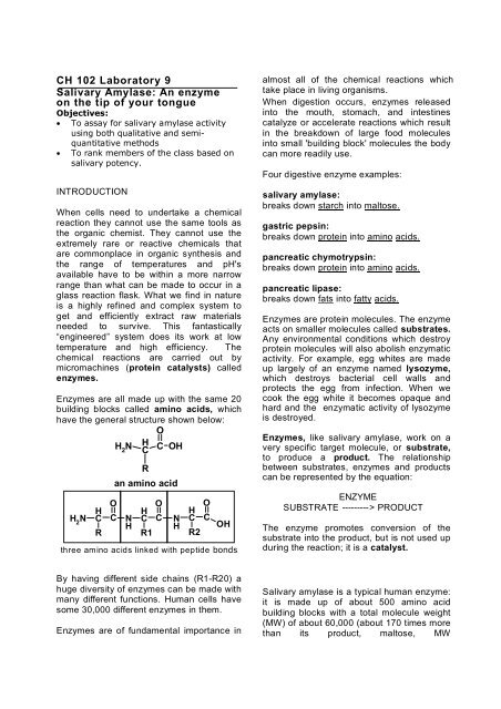 CH 102 Laboratory 9 Salivary Amylase: An enzyme on the tip of your ...