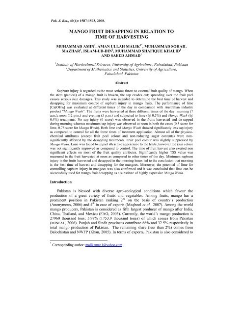 mango fruit desapping in relation to time of harvesting