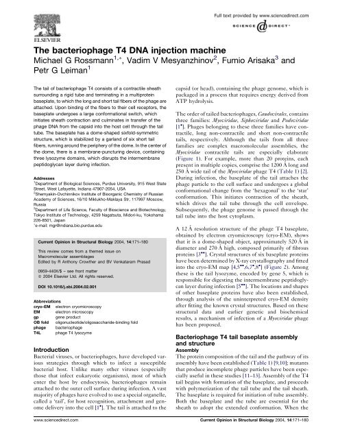 The bacteriophage T4 DNA injection machine - Purdue University