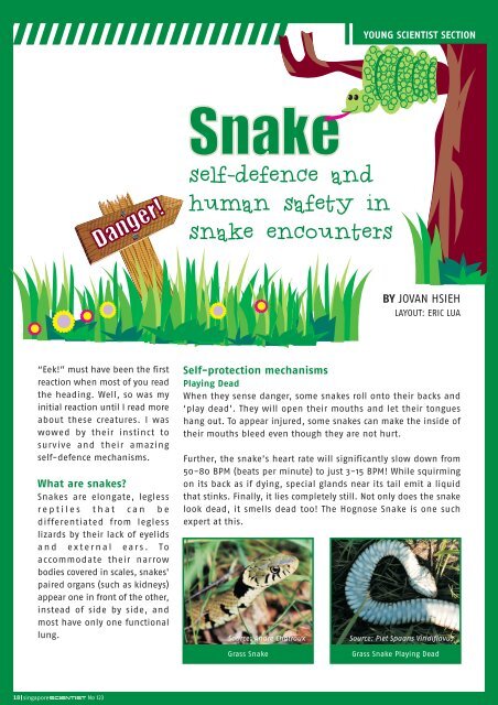 self-defence and human safety in snake encounters
