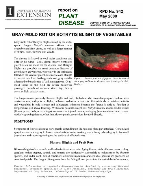 Gray Mold Rot or - Integrated Pest Management at the University of ...