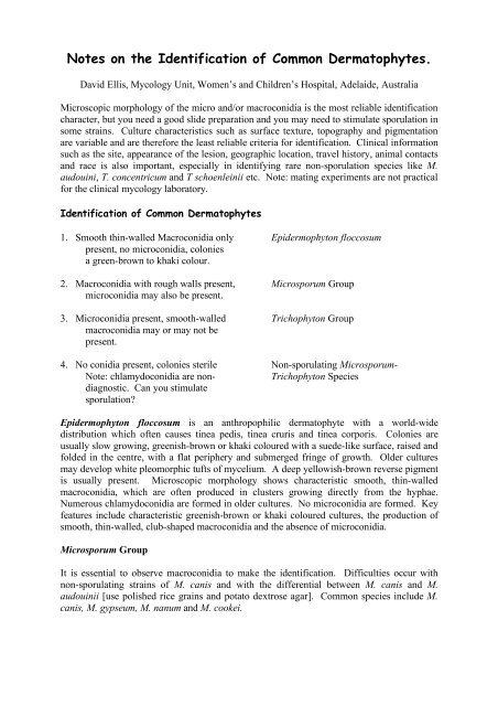 Notes on the Identification of Common Dermatophytes.