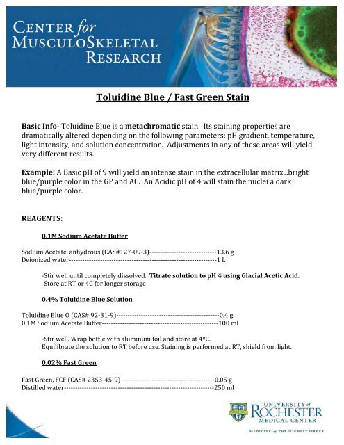 Toluidine Blue / Fast Green Stain