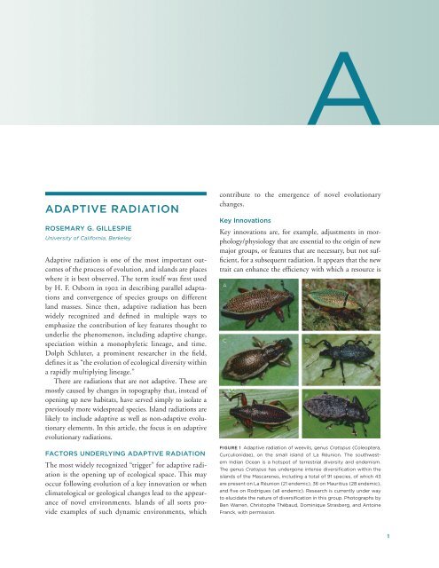 Adaptive Radiation Examples