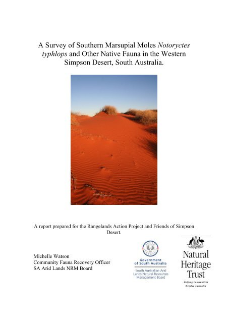 Southern Marsupial Mole