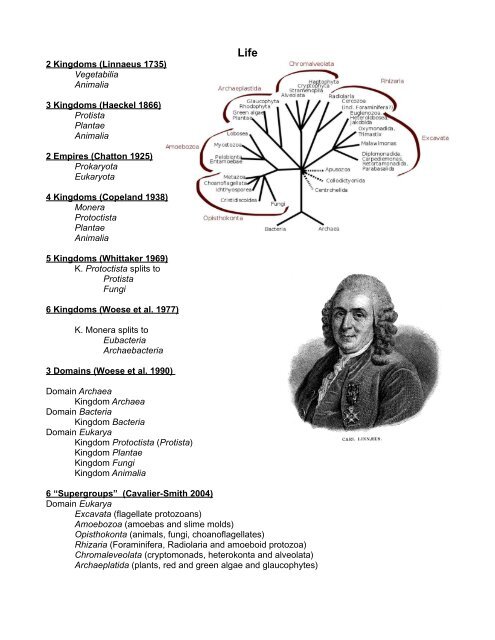 2 Kingdoms (Linnaeus 1735) - Science Page of Mystery