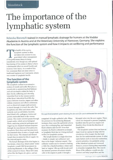 The importance of the lymphatic system