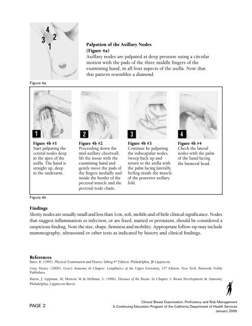 Axillary Lymph Nodes Palpation