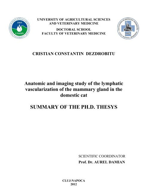 Abstract Of PhD Thesis