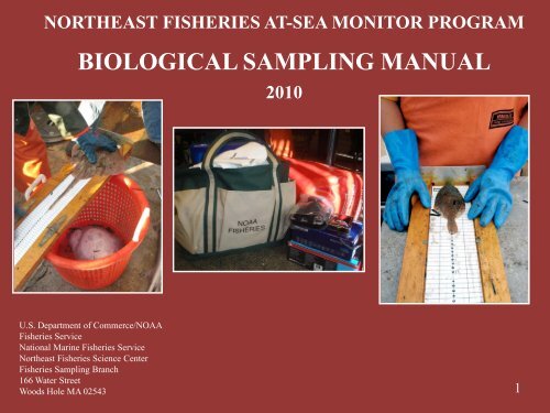 biological sampling manual - Northeast Fisheries Science Center ...
