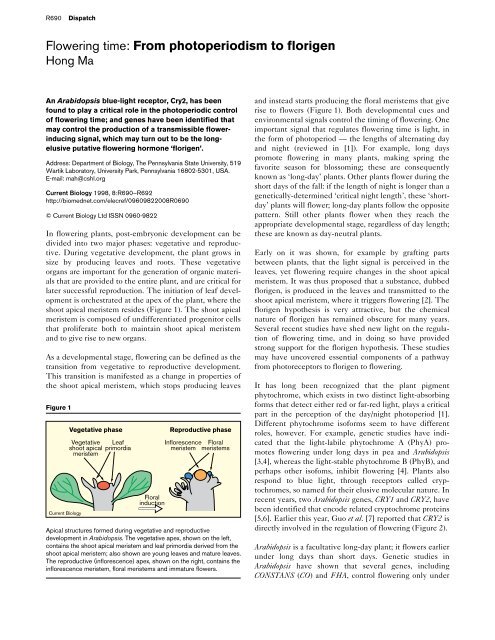 Flowering time: From photoperiodism to florigen