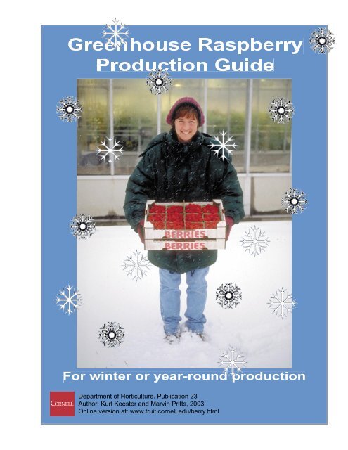 Greenhouse Raspberry Production Guide - Cornell Fruit - Cornell ...