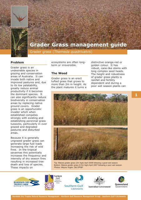 Grader Grass management guide