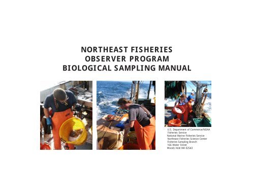 northeast fisheries observer program biological sampling ... - NOAA