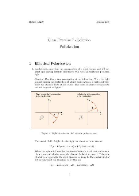 Class Exercise 7 - Solution Polarization