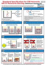 Application Form NC2 - ESB