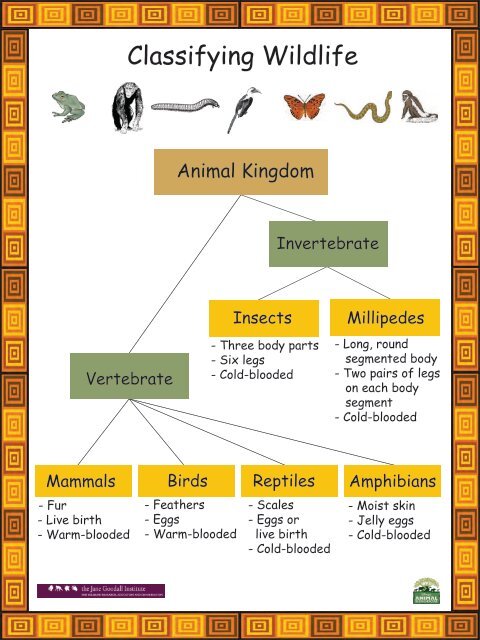 Classifying Wildlife poster with LOGOS and BLK BORDER
