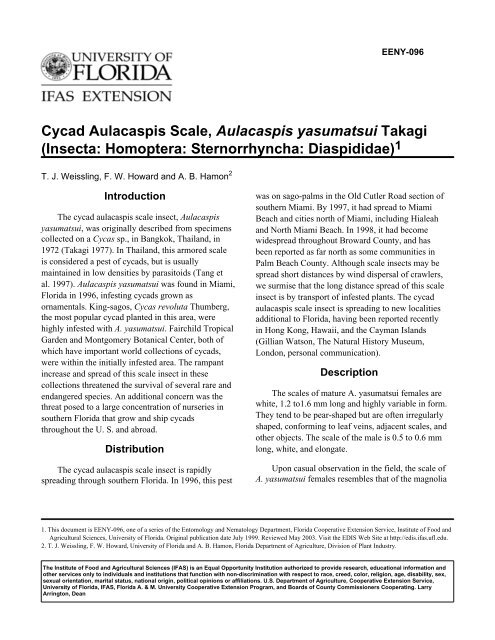 Cycad Aulacaspis Scale, Aulacaspis yasumatsui Takagi (Insecta ...