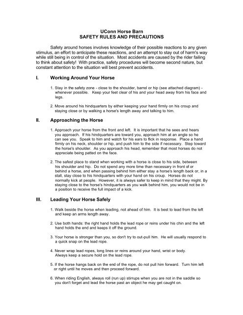 UConn Horse Barn SAFETY RULES AND PRECAUTIONS I ...