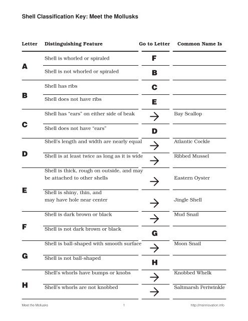 Shell Classification