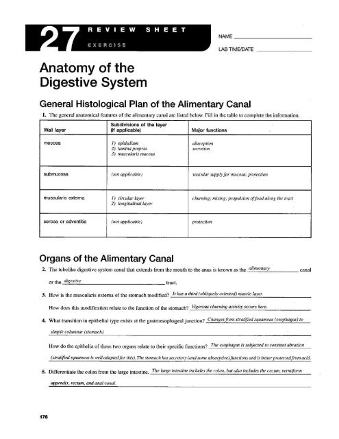 Anatomy of the - Dr. Scott Croes