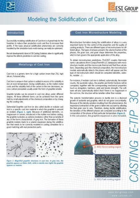 Modeling the Solidification of Cast Irons - ESI Group