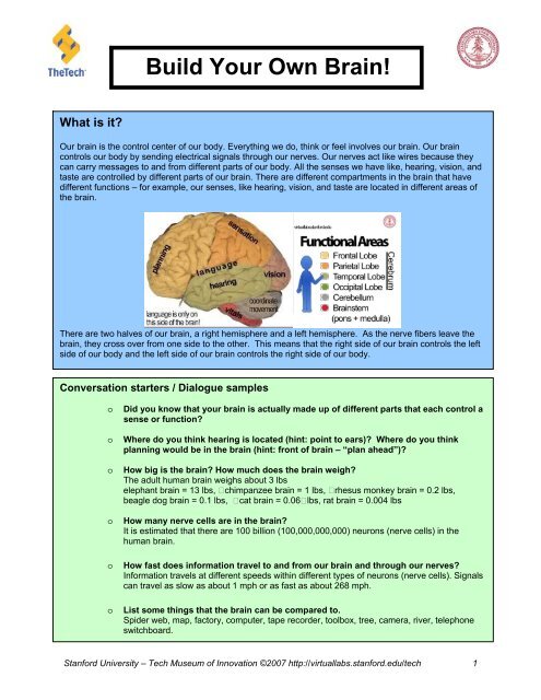 How Much Does A Dog Brain Weigh
