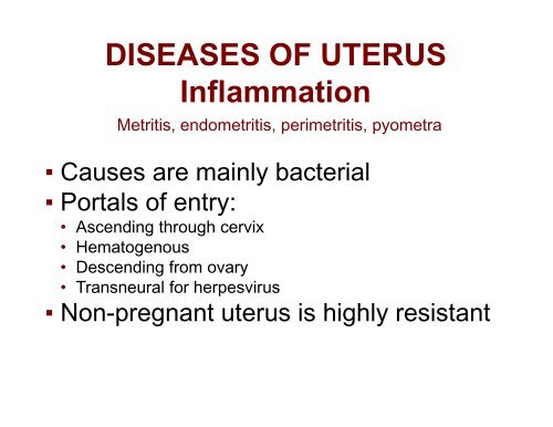DISEASES OF UTERUS Inflammation