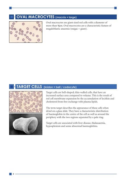 RED CELL NOMENCLATURE The