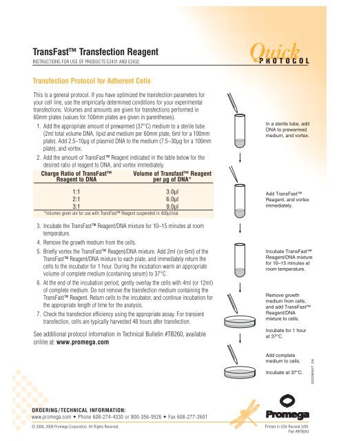 TransFast(TM) Transfection Reagent Quick Protocol, FB043 - Promega