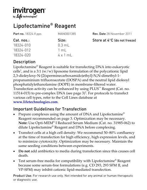 Lipofectamine Reagent - Invitrogen