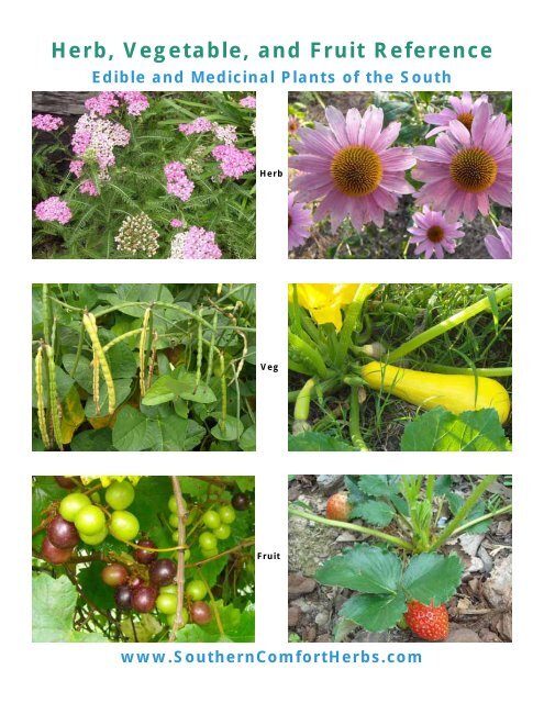 Herb, Vegetable, and Fruit Reference - Southern Comfort Herbs