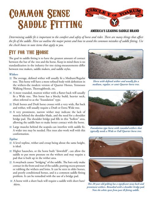 Common Sense Saddle Fitting - Circle Y Saddles
