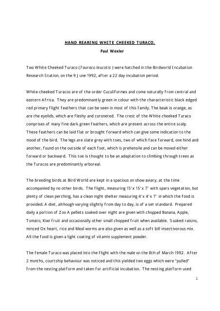 Hand rearing White-cheeked Turaco - Paul Wexler - Avian Rearing ...