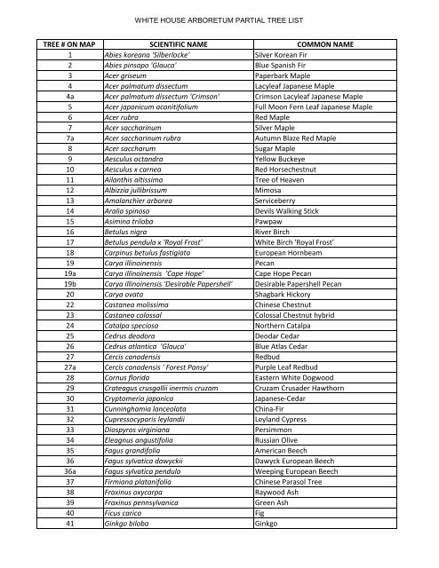 Common Names Of Trees