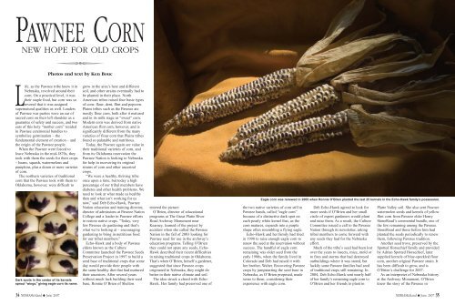 Pawnee Corn - Echo Hawk