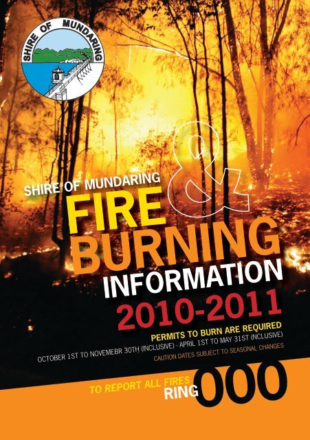 The Burning Of The Shire