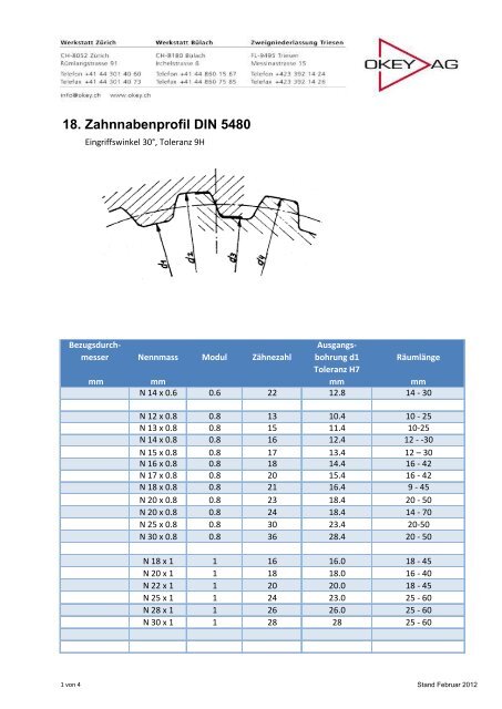 18. Zahnnabenprofil DIN 5480