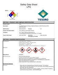 Safety Data Sheet Gasoline, Unleaded