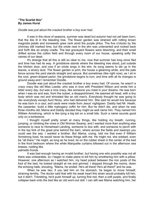 The Scarlet Ibis Doodle Drawings