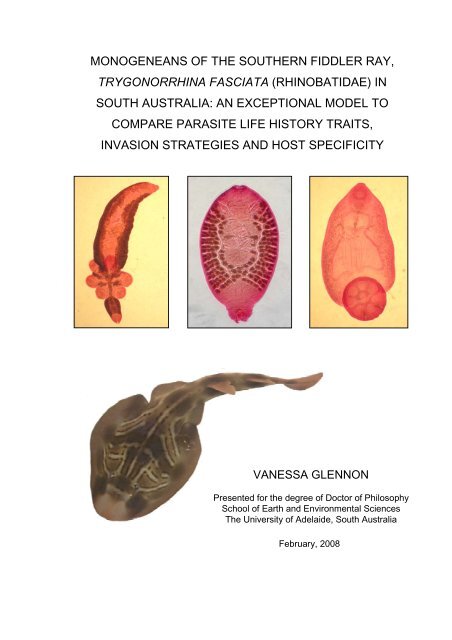 Monogeneans of the southern fiddler ray, Trygonorrhina fasciata