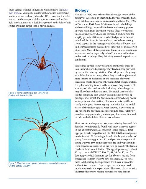 cause serious wounds in h