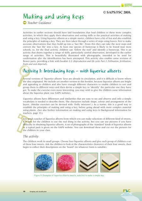 Making and using keys - Science & Plants for Schools