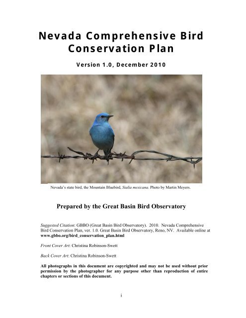 Nevada Comprehensive Bird Conservation Plan - Great Basin Bird ...