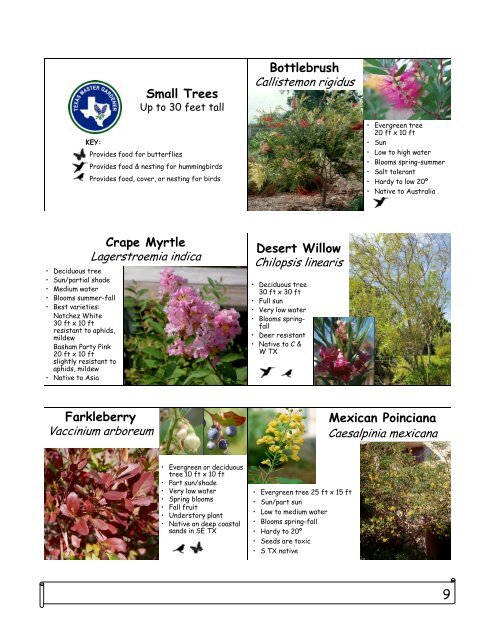 Small Trees Bottlebrush Crape Myrtle Desert Willow Farkleberry ...