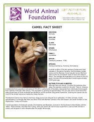 GIRAFFE FACT SHEET - World Animal Foundation