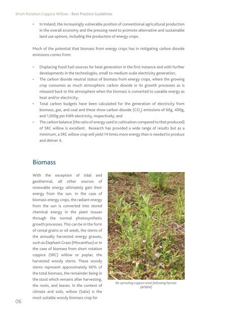 Short Rotation Coppice Wi