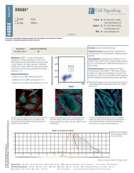 ESC Pluripotency and Differentiation - Cell Signaling Technology, Inc.