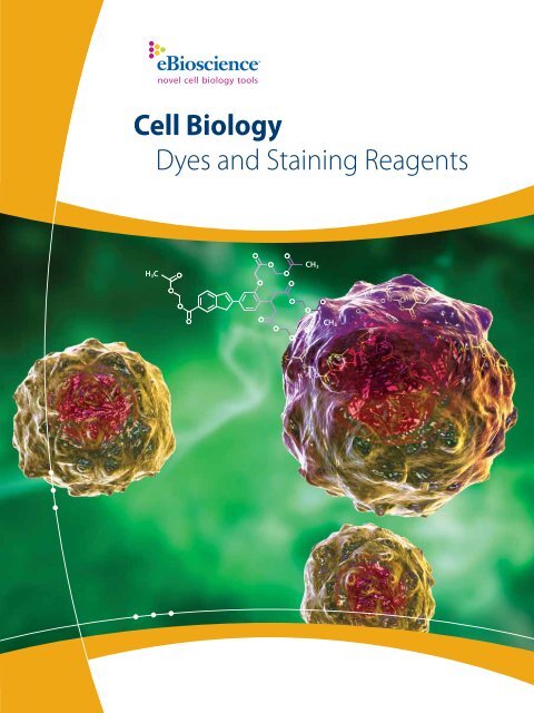 Cell Biology Dyes and Staining Reagents - eBioscience